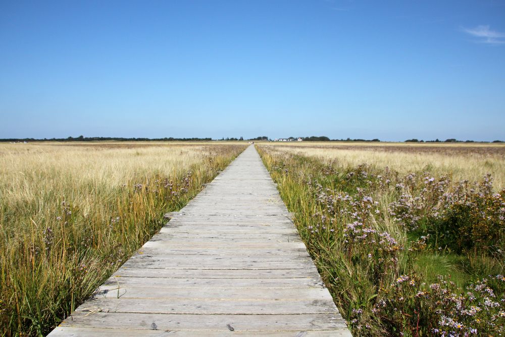 weit ist der Weg .... Foto & Bild | landschaft, wege und pfade ...