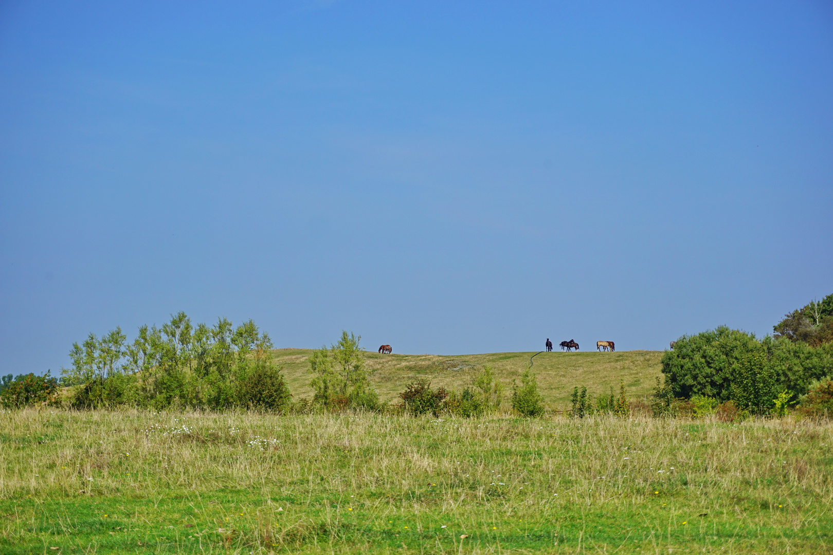 Weit ist die Prärie... Foto & Bild | europe, scandinavia, sweden Bilder ...