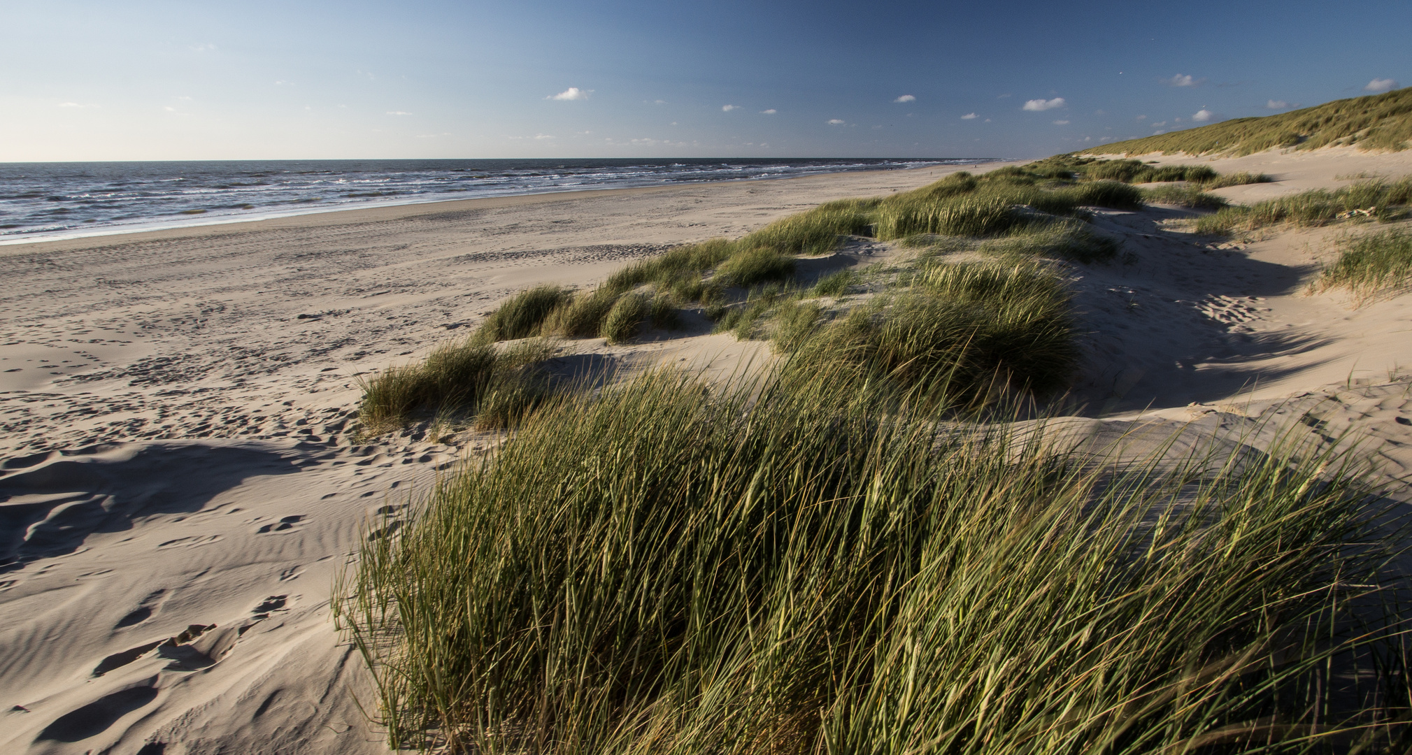 Weite der Nordsee Foto & Bild | landschaft, meer & strand, dünen Bilder ...