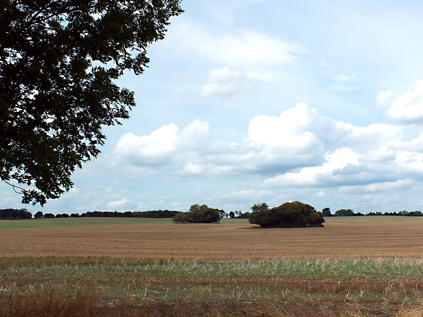 Weite Sicht Foto & Bild | landschaft, Äcker, felder & wiesen, himmel Bilder auf fotocommunity