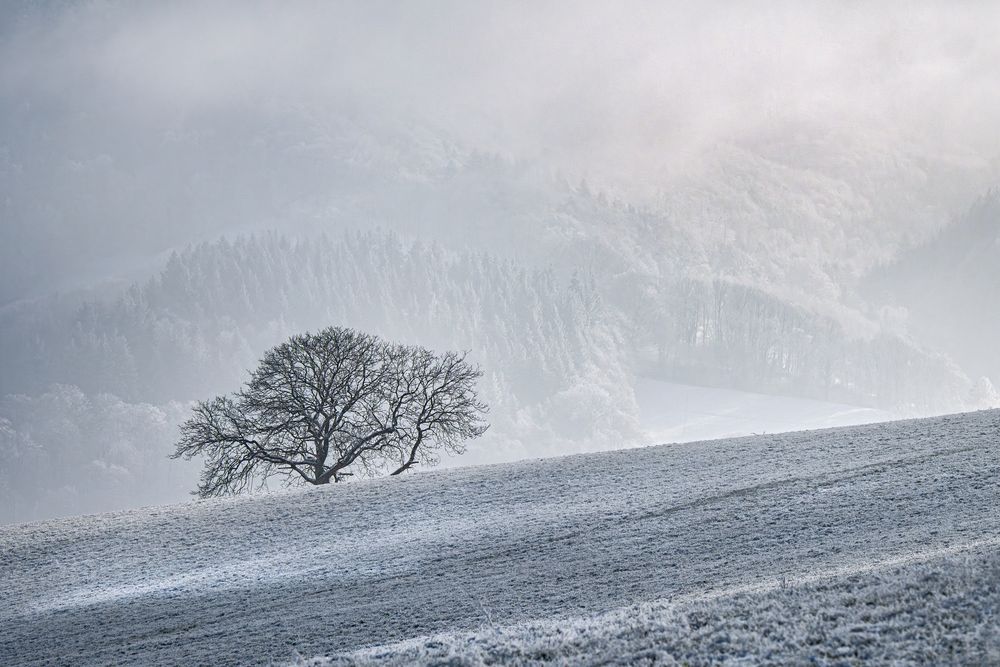 weiter Blick Foto & Bild | landschaft, jahreszeiten, winter Bilder auf fotocommunity