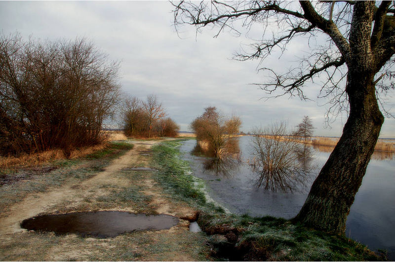 weitergehen Foto & Bild | emotionen, worpswede, spezial Bilder auf ...