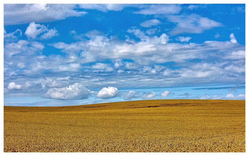 Weites Feld Foto & Bild | landschaft, jahreszeiten, sommer Bilder auf ...