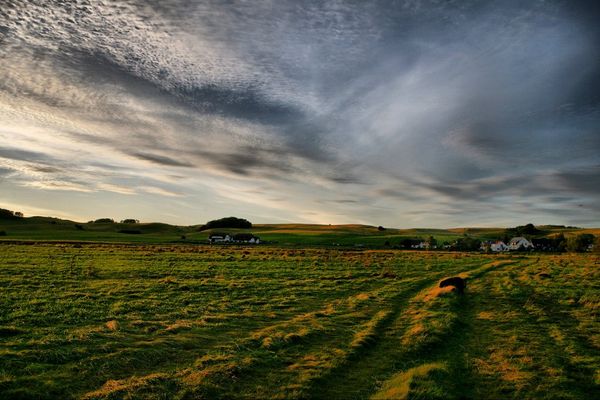 Quiesel - Fotos & Bilder - Fotograf aus Meerbusch, Deutschland ...