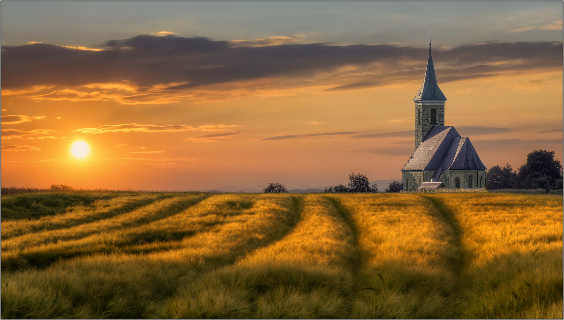 Weizenfeld Foto & Bild | jahreszeiten, herbst, natur Bilder auf ...