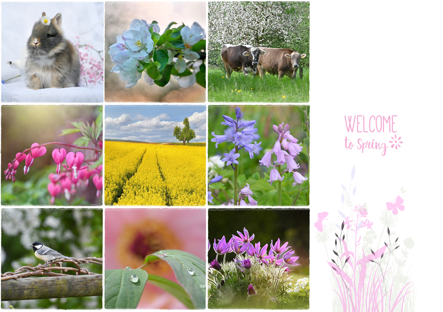 Welcome to Spring Foto & Bild | frühling, collage, collagen Bilder auf ...