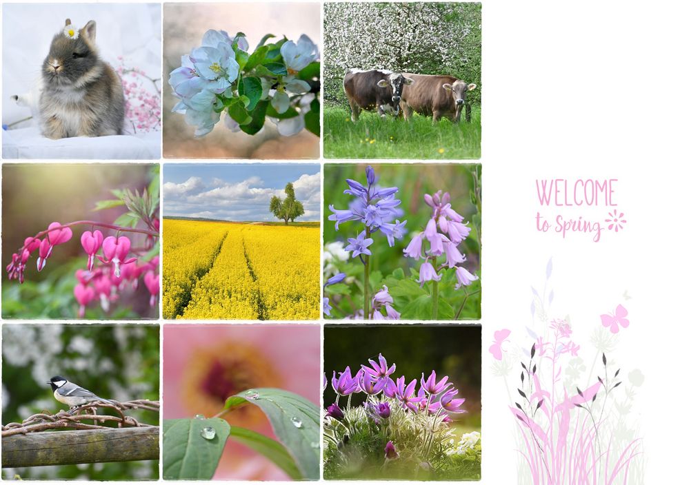 Welcome to Spring Foto & Bild | frühling, collage, collagen Bilder auf ...