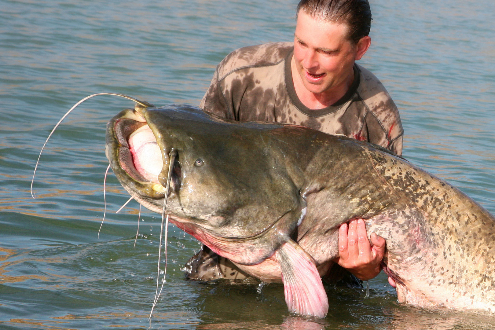 Welsangeln Foto & Bild | tiere, wildlife, fische Bilder auf fotocommunity