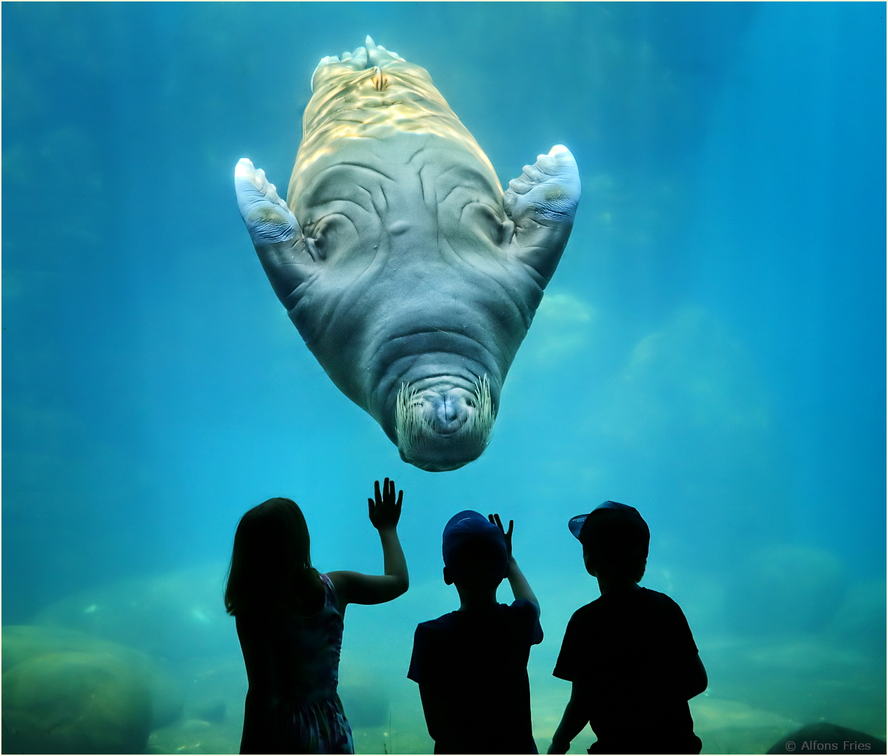 Welten treffen aufeinander Foto & Bild | dokumentation, meer, natur ...