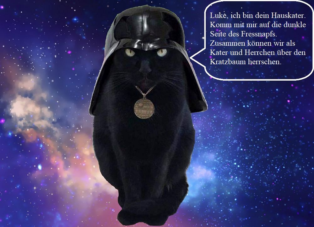 Weltraum mit Darth Kater Foto & Bild | fotomontage, science fiction, fantasy mystery Bilder auf ...