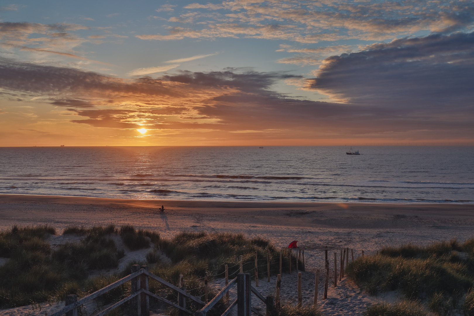 Wenduine_Belgien Foto & Bild | tiere, haustiere, hunde Bilder auf ...