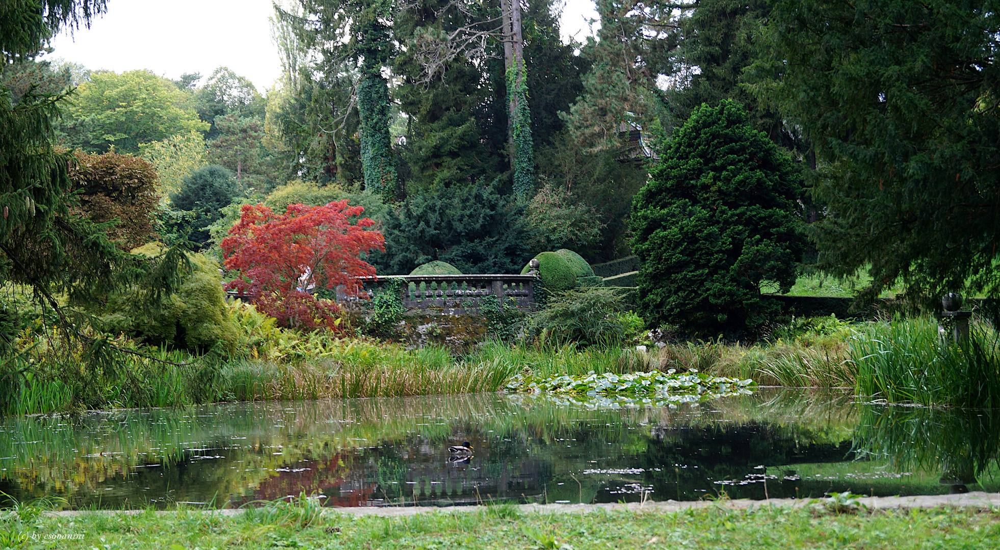Wenkenpark Riehen Foto & Bild | spezial, natur, schweiz Bilder auf ...