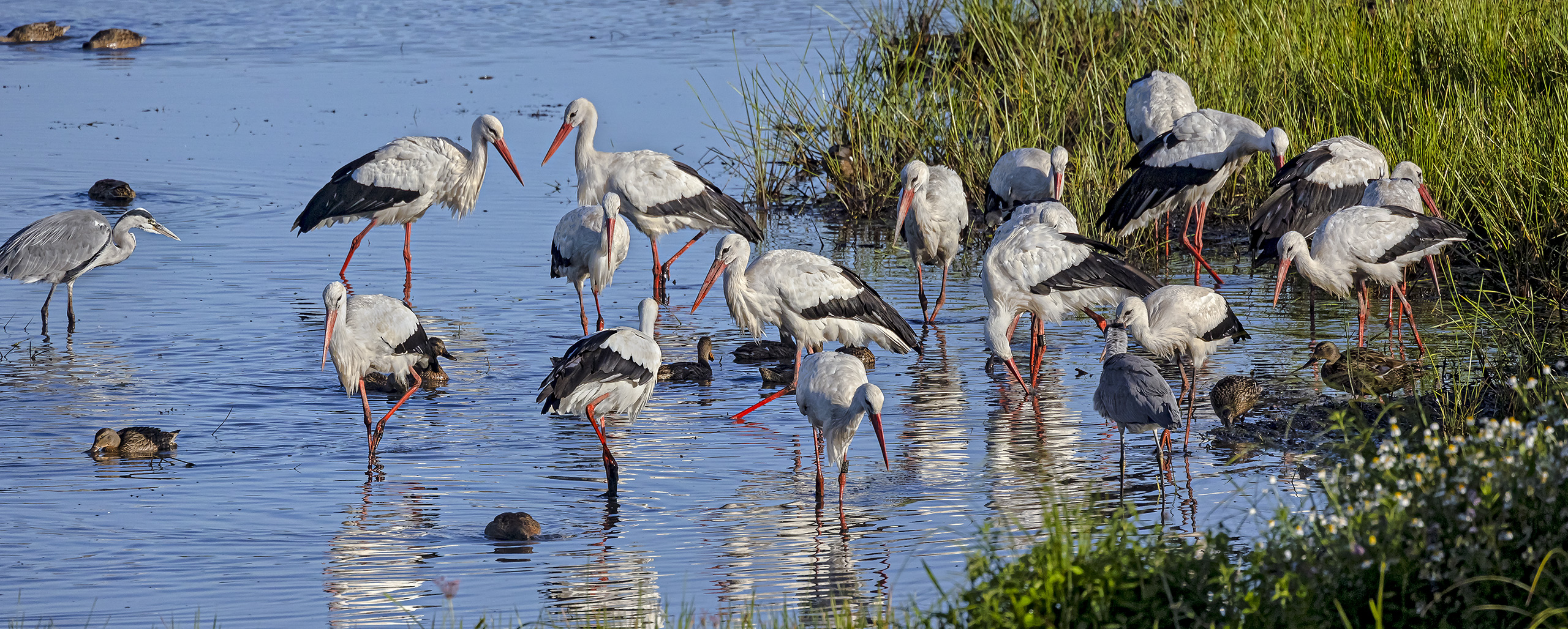 Wenn das Wasser knapper wird ... Foto & Bild | world, natur, see Bilder ...