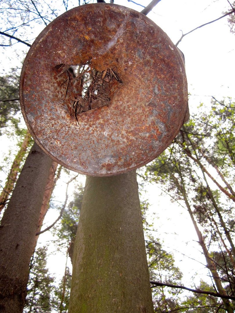 Wenn der Eimer aber nun ein Loch hat... Foto & Bild | quatsch, fun und ...