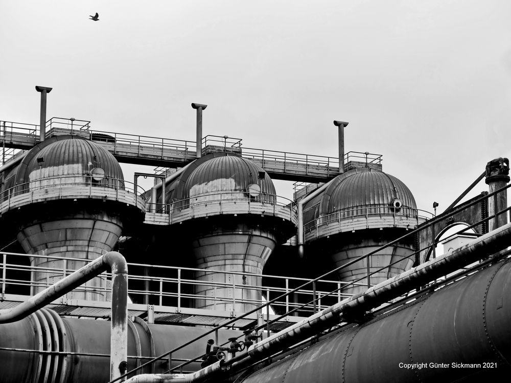 Wenn der letzte Vogel verschwindet ... Foto & Bild | industrie und ... Wenn der letzte Vogel verschwindet ... Foto & Bild | industrie und ...