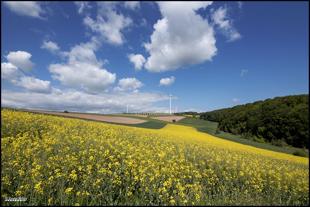 Wenn der Wind weht Foto & Bild | landschaft, lebensräume, florales ...