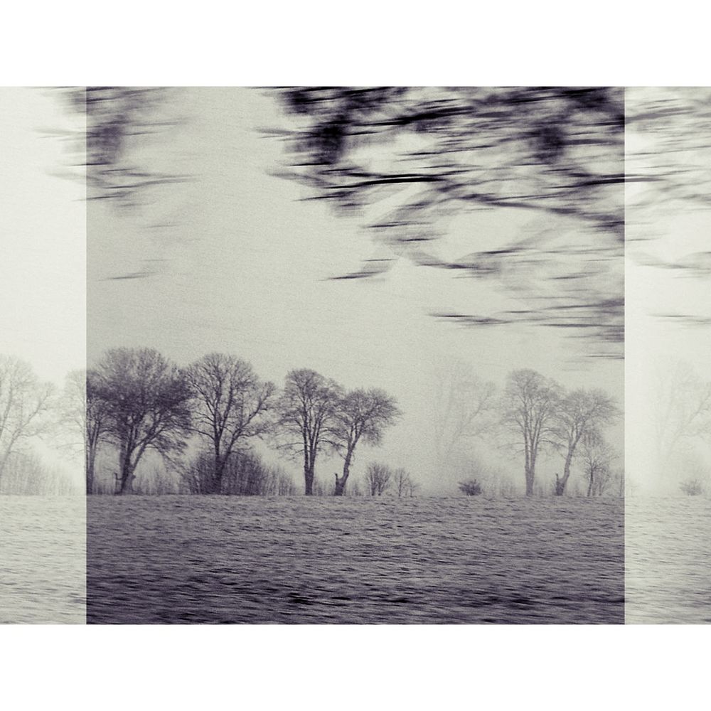 wenn der Wind weht - Foto & Bild | landschaft, landschaften, natur ...