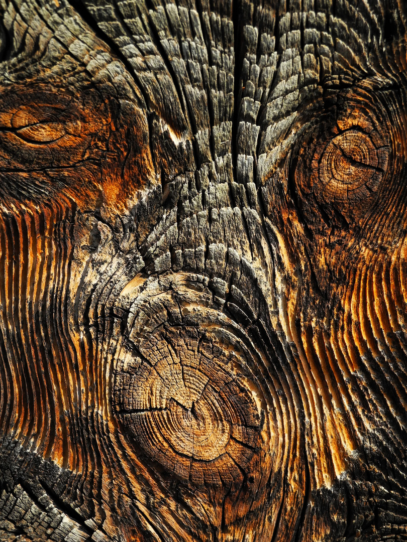 Wenn dich Bretterwände misstrauisch beobachten... Foto & Bild | spezial ...