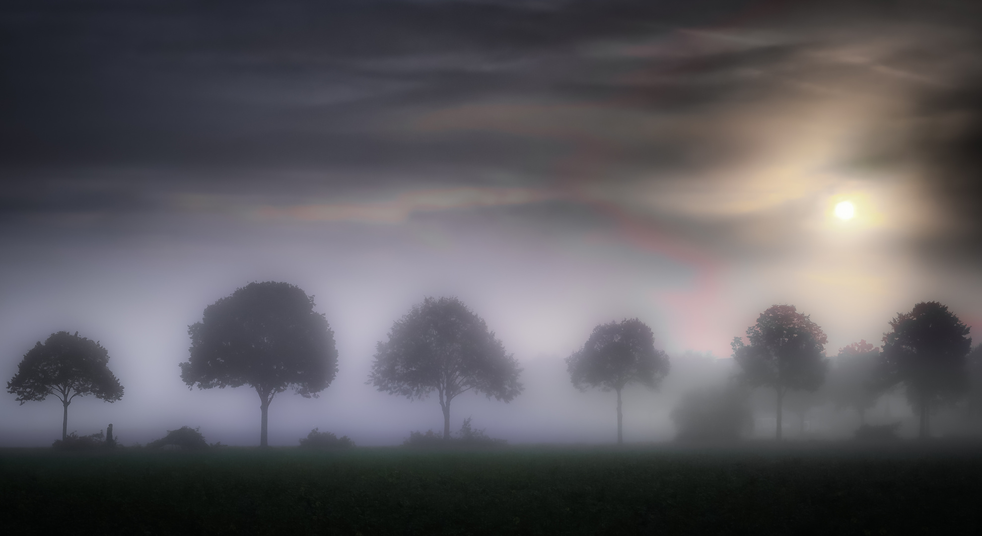 Wenn die Sonne den Nebel durchdringt Foto & Bild | world, himmel, natur ...