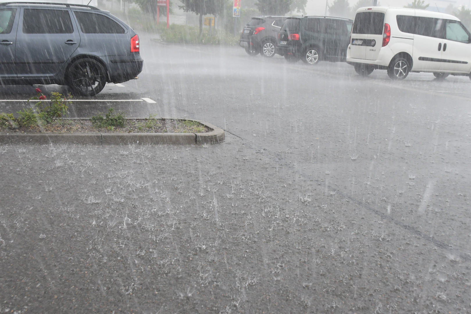 ...wenn es Bindfäden regnet... Foto & Bild | regenfotos, wetter, regen ...