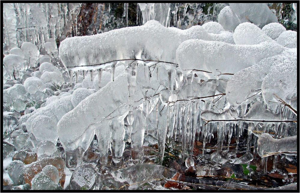 Wenn es kalt wird im Ländle... Foto & Bild | spezial, dokumentation, wasser Bilder auf fotocommunity