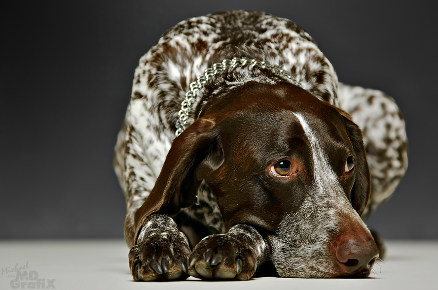 Wenn ich mich ganz ruhig verhalte... Foto & Bild | my little family ...