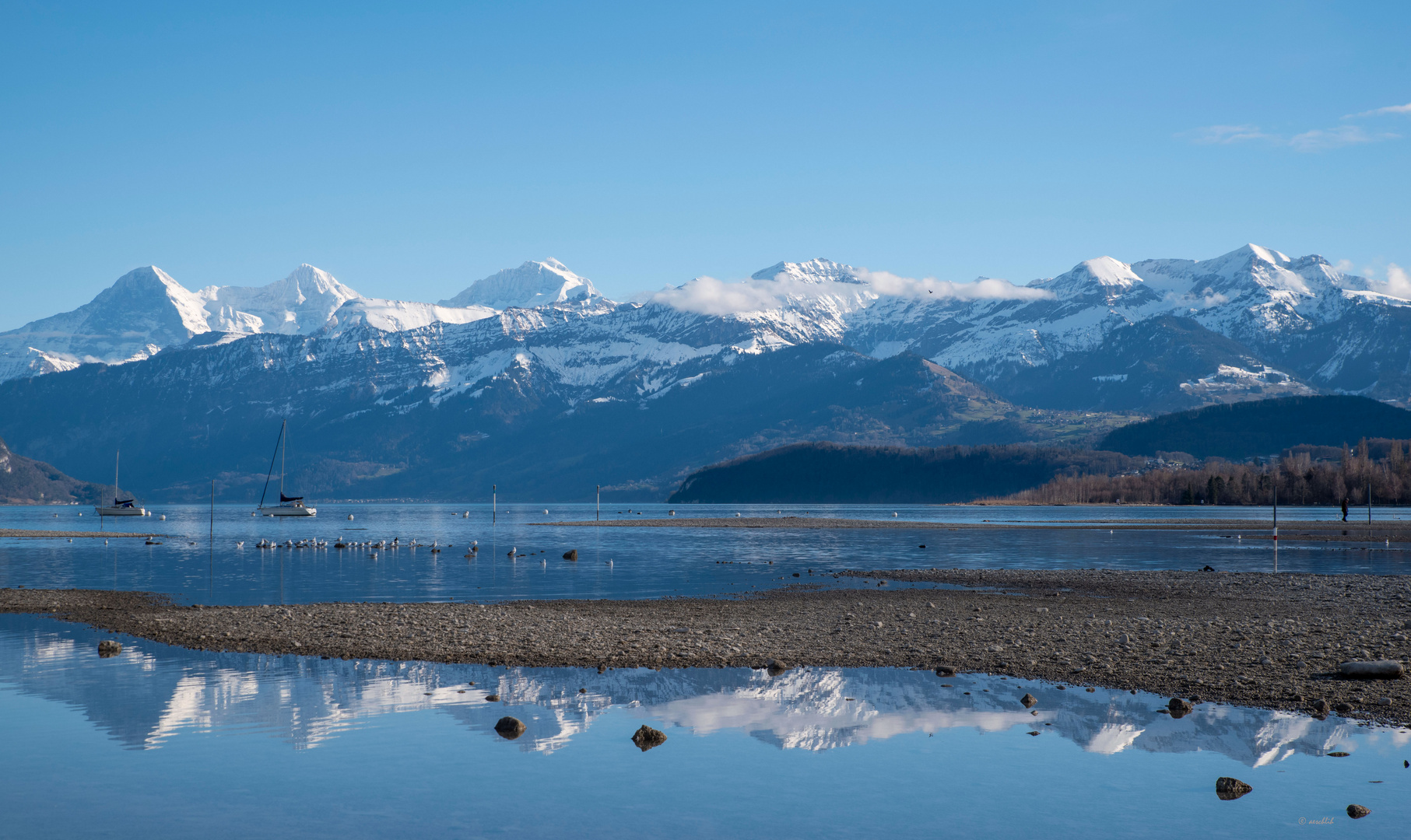 Wenn sich die Berner Alpen... Foto & Bild | winter, jahreszeit, natur ...