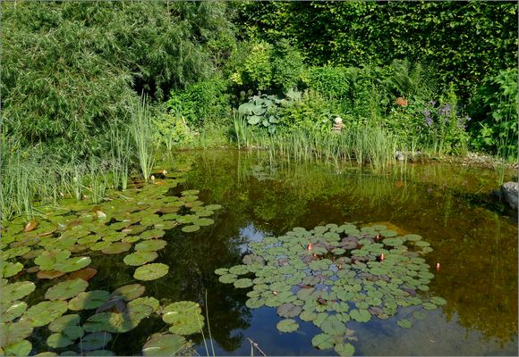 Special Images & Photos