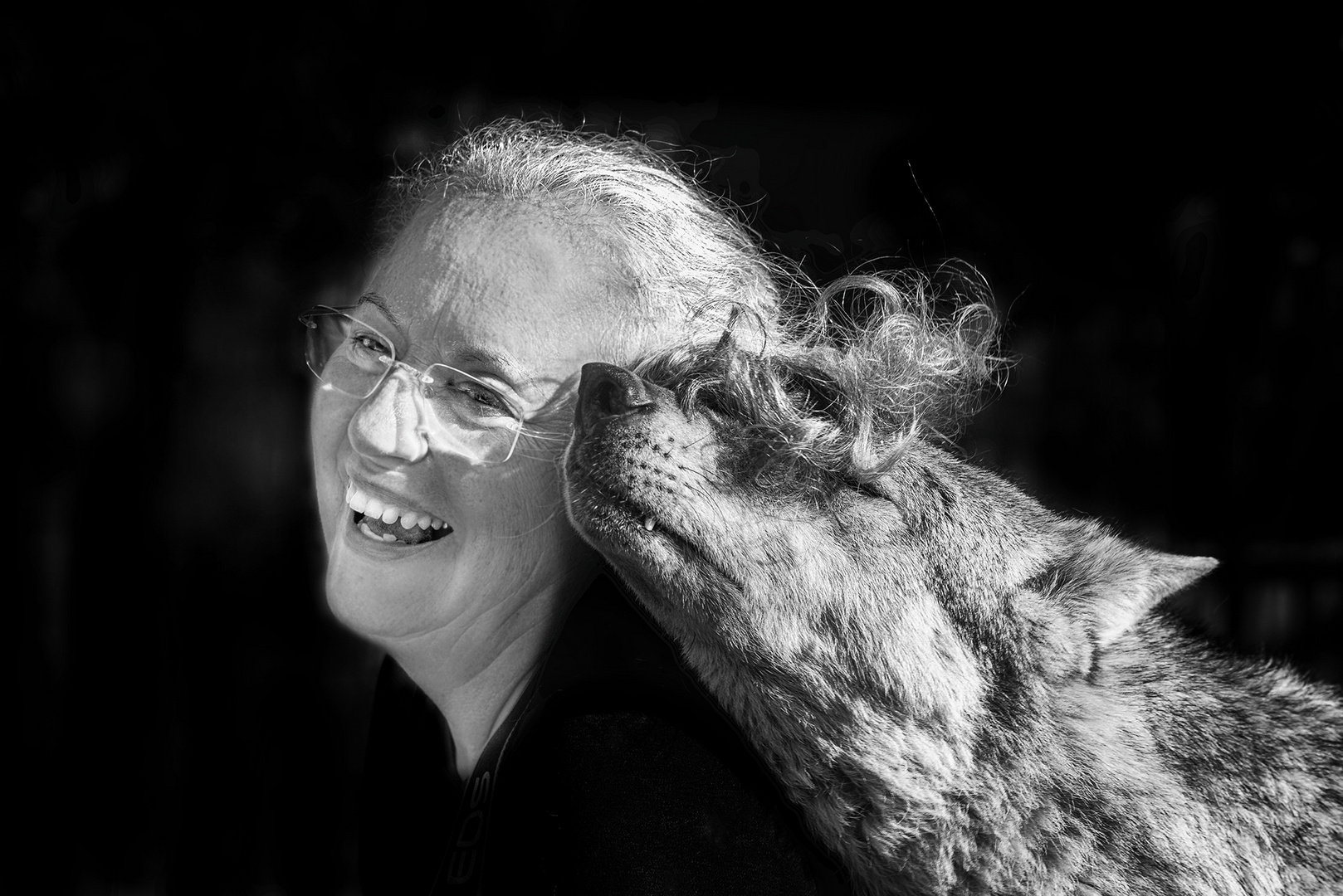 Wer hat Angst vor dem bösen Wolf? Foto & Bild | tiere, zoo, wildpark ...