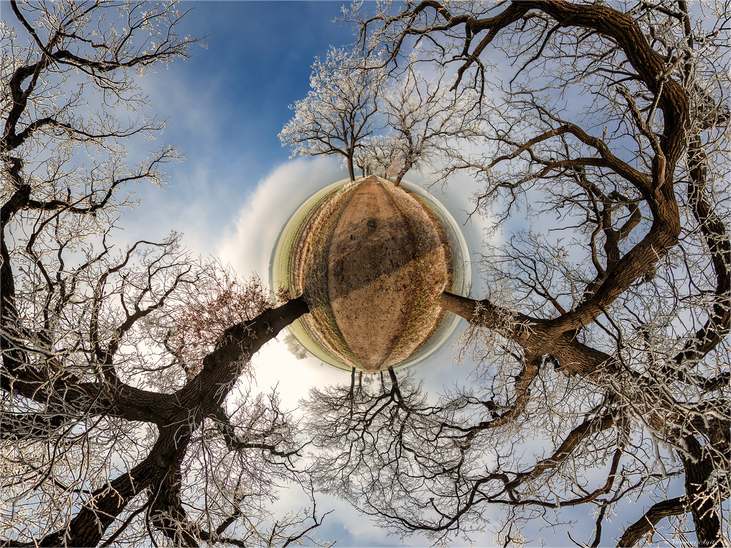 Wer wird denn gleich in die Luft gehen? Foto & Bild | bäume, winter ...