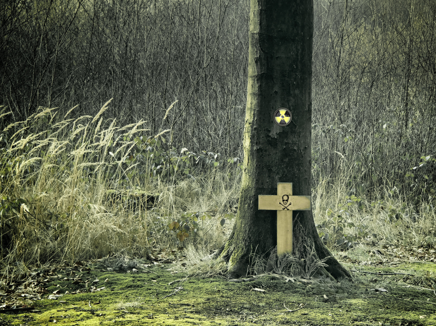 Wer, Wo, Wann ist das nächste Opfer.....? Foto & Bild | trauer, trauer ... Wer, Wo, Wann ist das nächste Opfer.....? Foto & Bild | trauer, trauer ...