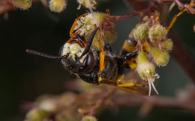 Natur, Naturbilder, Naturfotografie