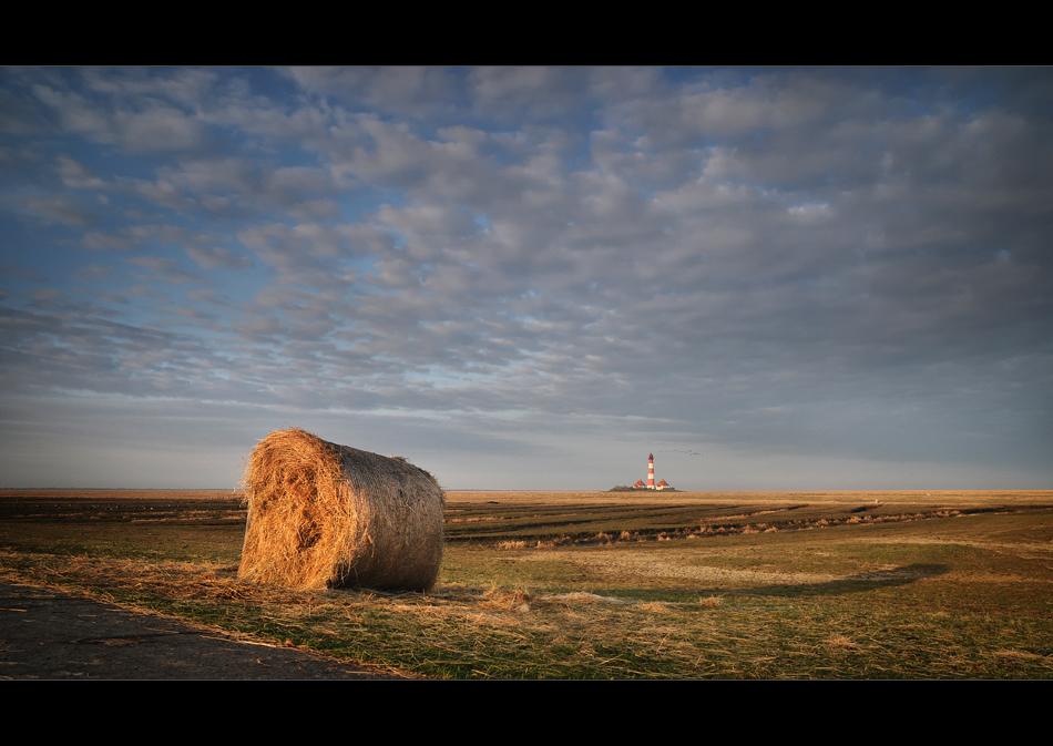 westerhever. Foto & Bild | deutschland, europe, schleswig- holstein ...