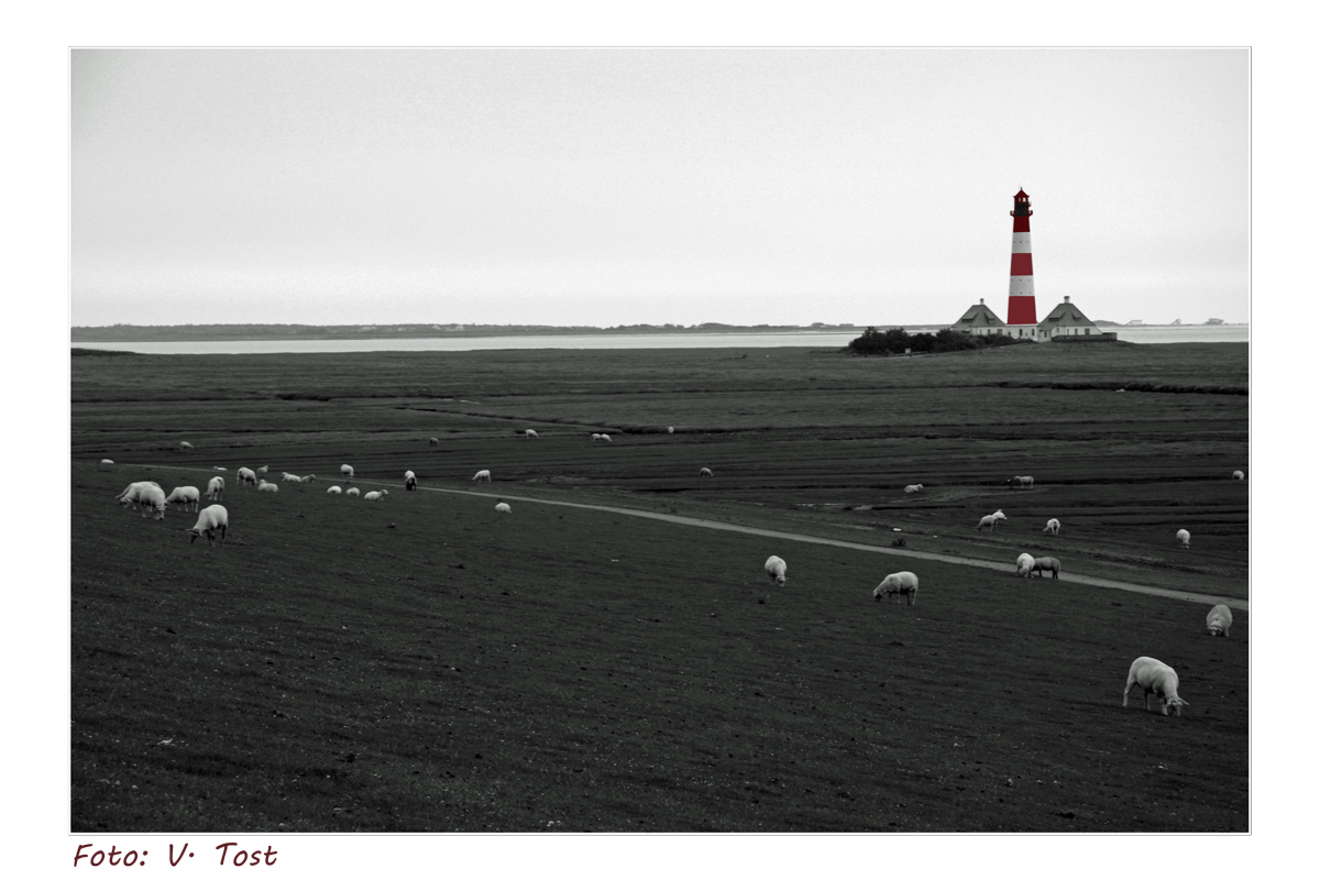 Westerhever Foto & Bild | deutschland, europe, schleswig- holstein ...