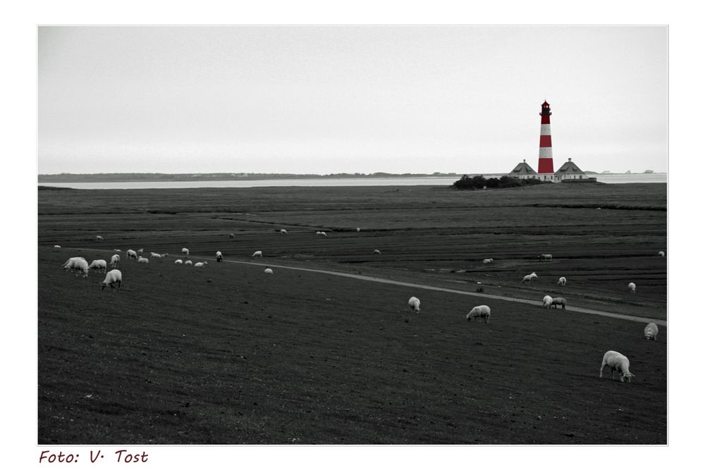 Westerhever Foto & Bild | deutschland, europe, schleswig- holstein ...