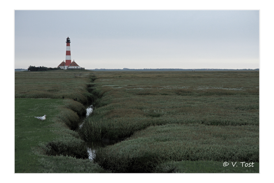 Westerhever Foto & Bild | deutschland, europe, schleswig- holstein ...
