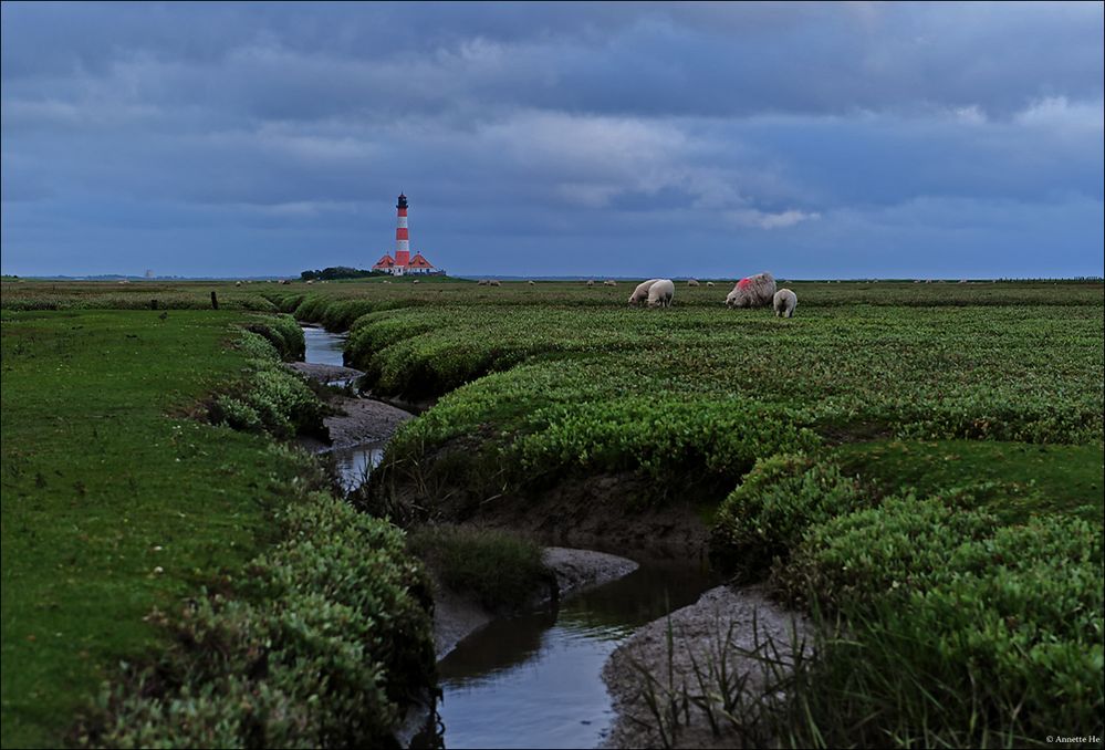 Westerhever Foto & Bild | deutschland, europe, schleswig- holstein ...