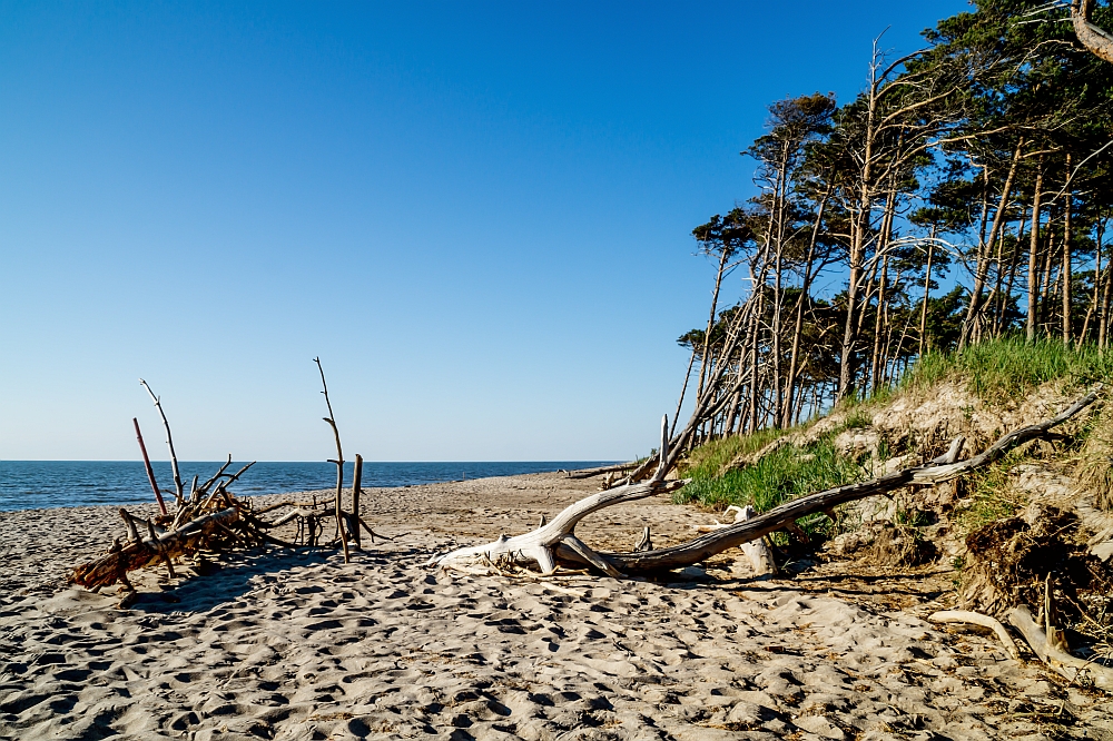 Westküste Darß Foto & Bild | landschaft, meer & strand, natur Bilder ...