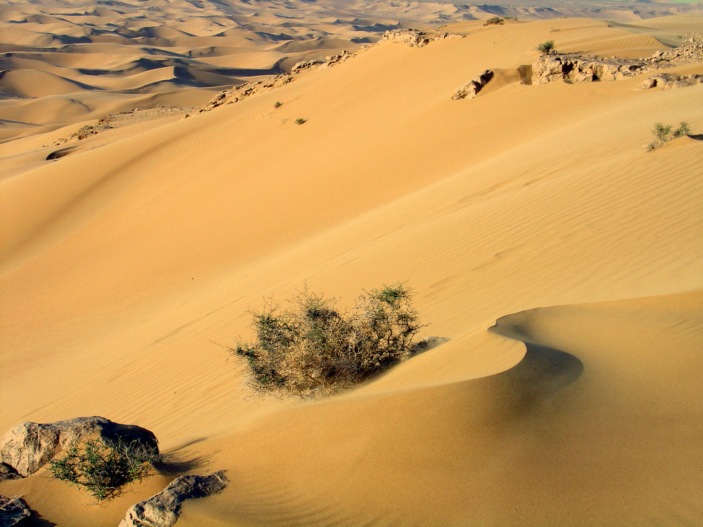 Westsahara Foto & Bild | africa, western africa, afrika Bilder auf ...