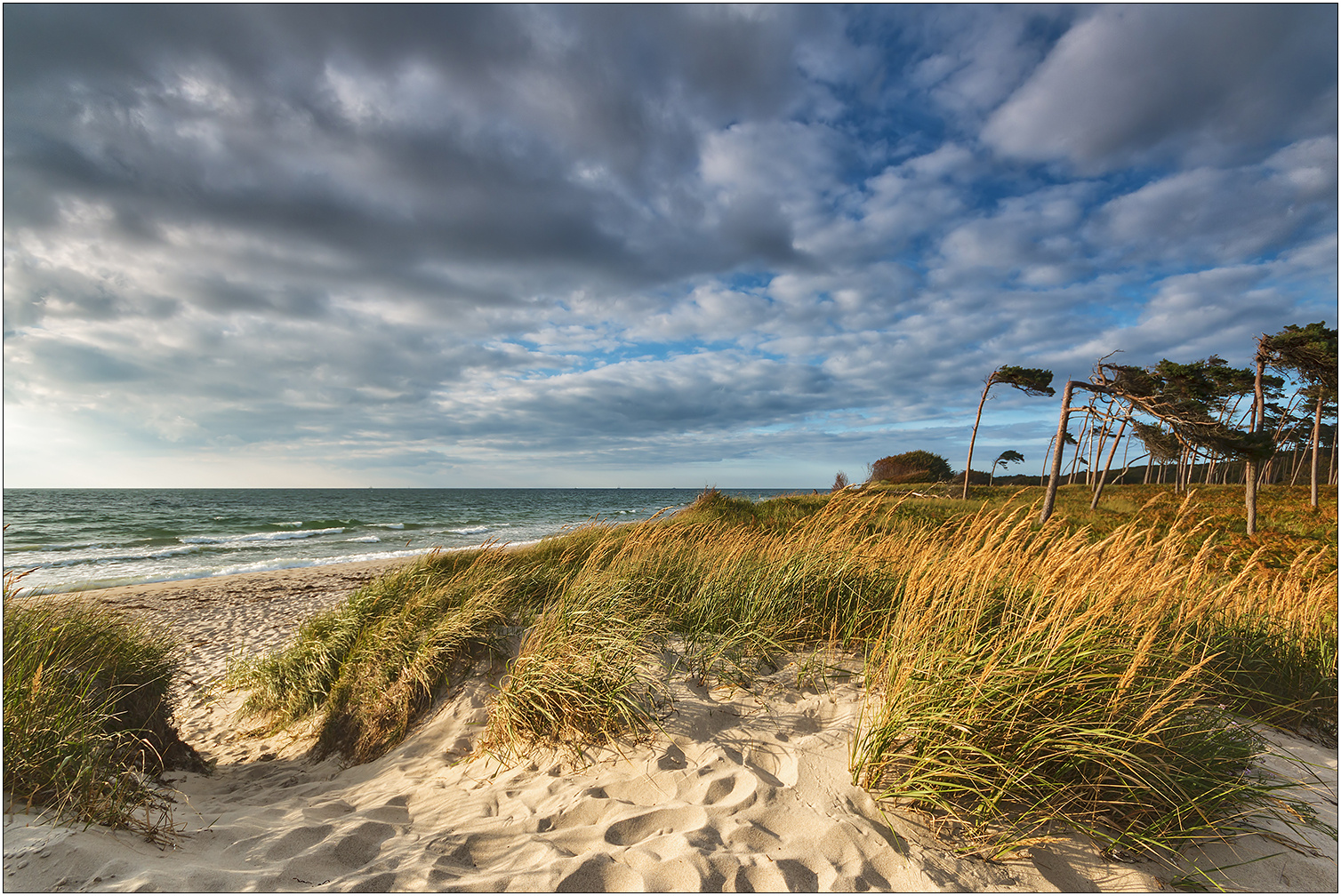 Weststrand Foto & Bild | world, bäume, wolken Bilder auf fotocommunity