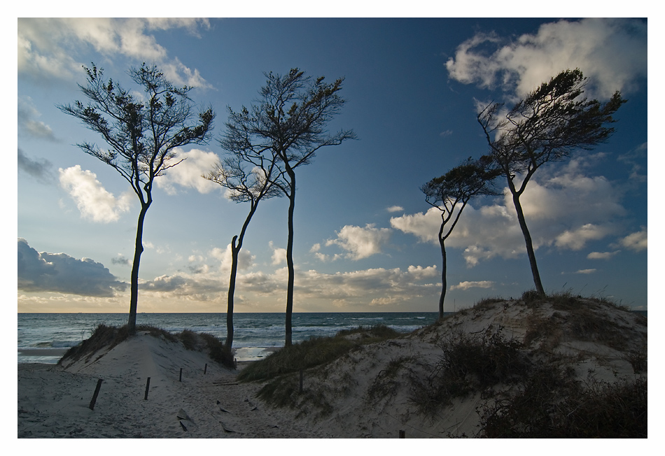 Weststrand Foto & Bild | archiv - kritik am bild, konstruktive ...