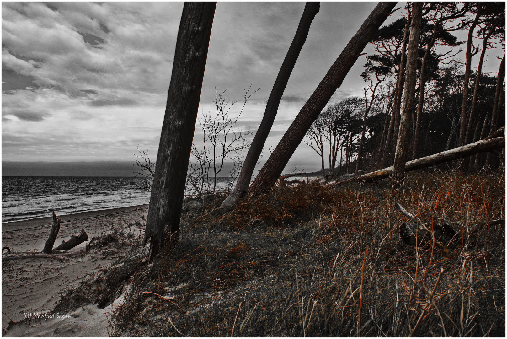 Weststrand - Fischland - Darß - Prerow Foto & Bild | deutschland ...