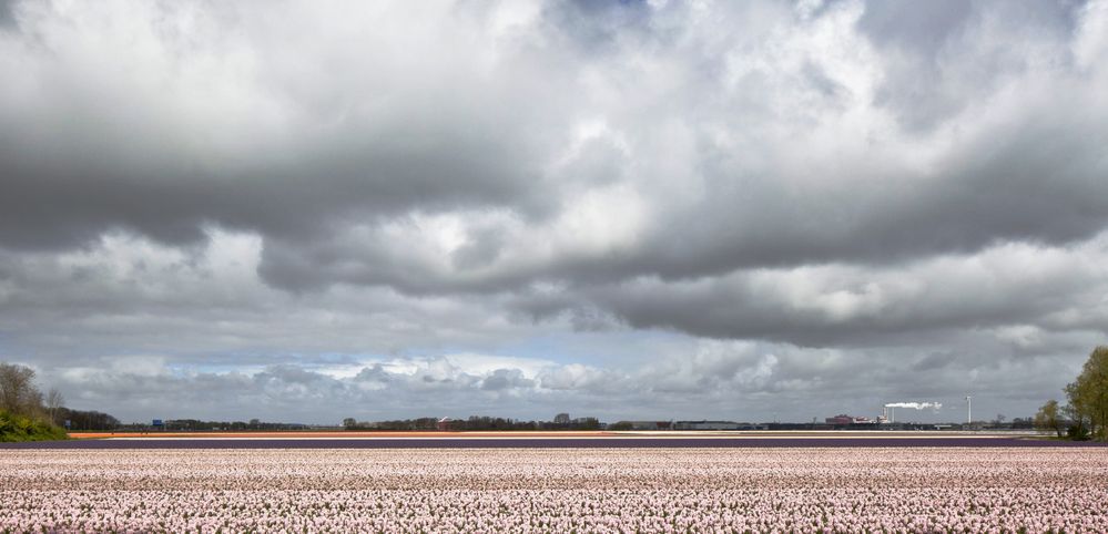 Westwind Foto & Bild | europe, benelux, landschaft Bilder auf fotocommunity