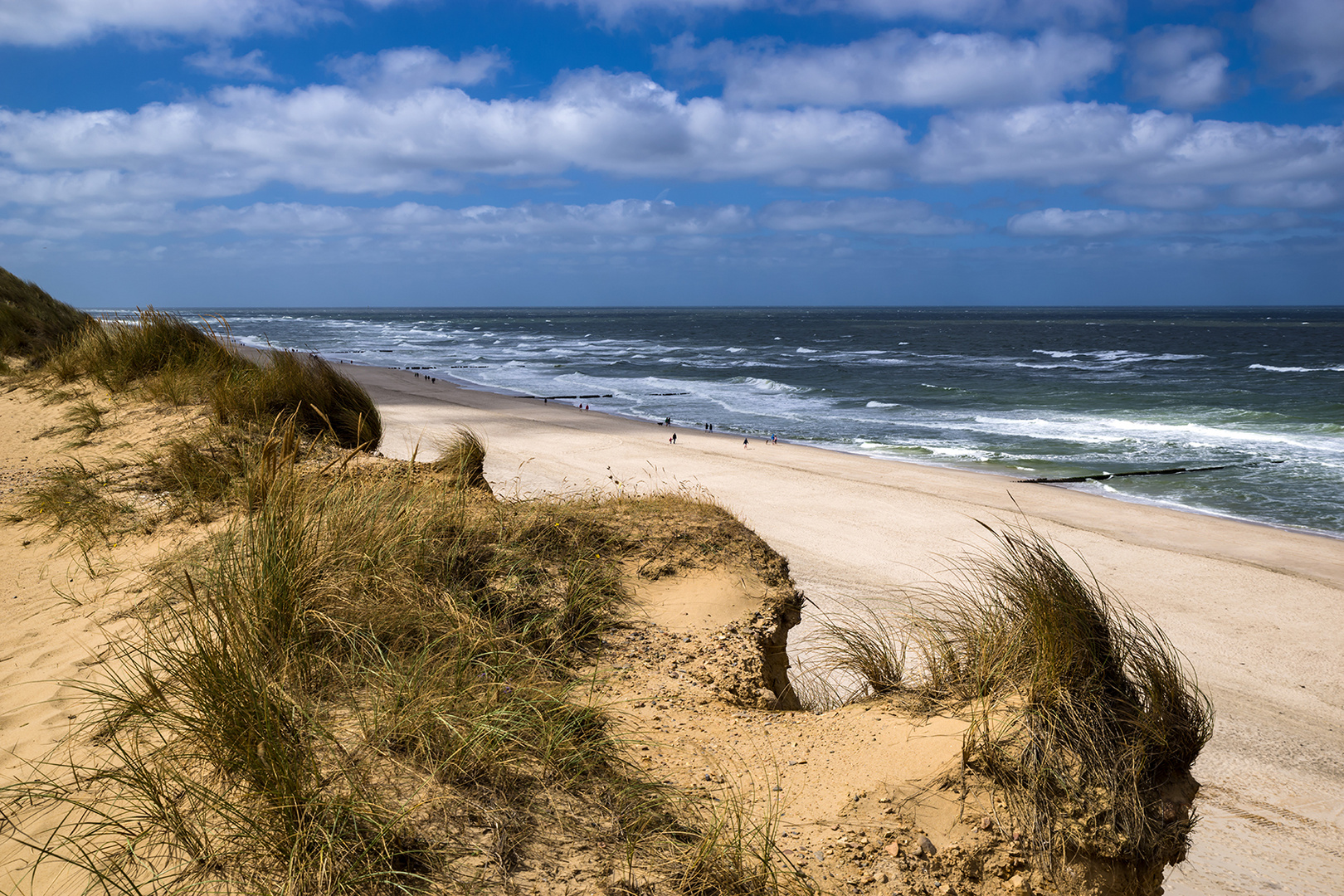Westwind Foto & Bild | sylt, world, deutschland Bilder auf fotocommunity