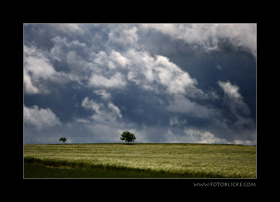 Wetterbild Foto & Bild | landschaft, Äcker, felder & wiesen, natur und ...