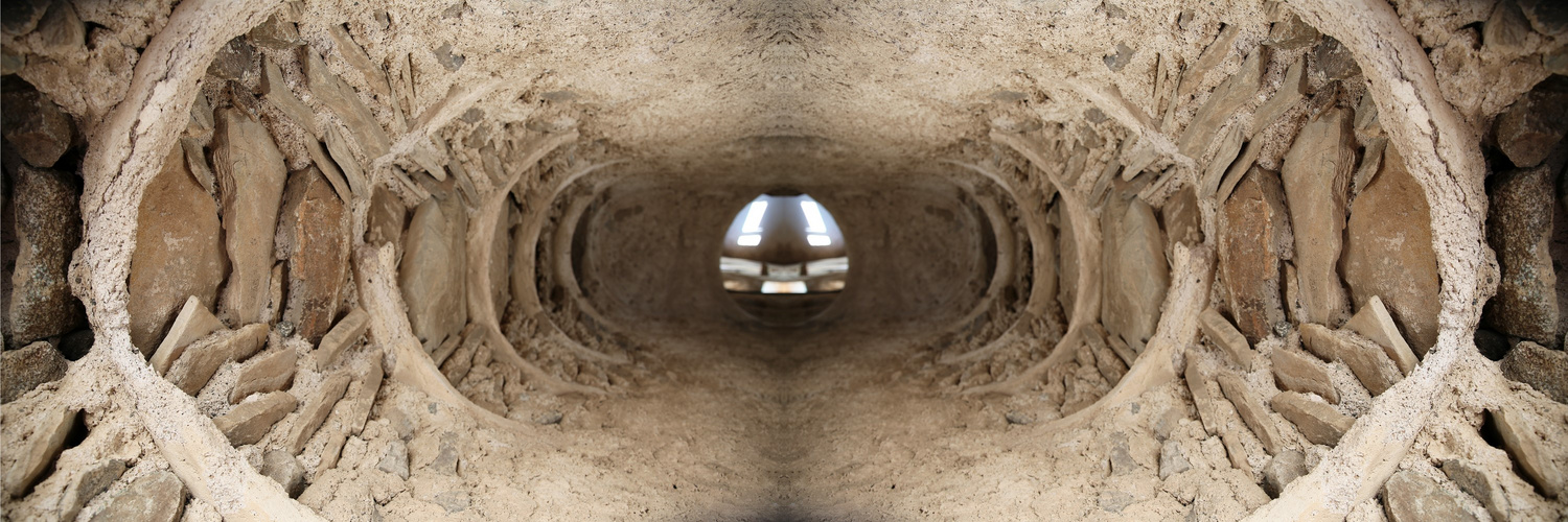 Whale inside Foto & Bild | projekte, fotomontage, spiegelungen Bilder ...