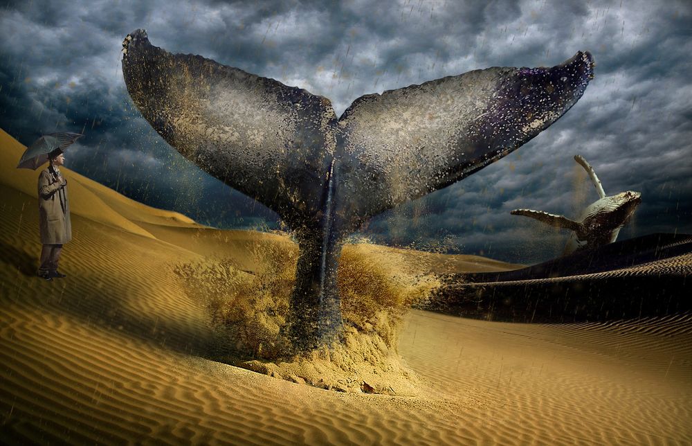 Whale-Watching Foto & Bild | fotomontage, composing , bildbearbeitung Bilder auf fotocommunity