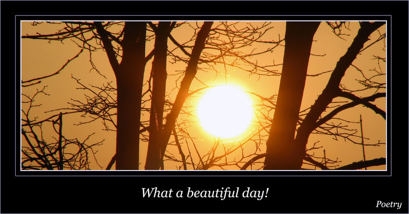 What a beautiful day! Foto & Bild | sonnenuntergänge, himmel ...
