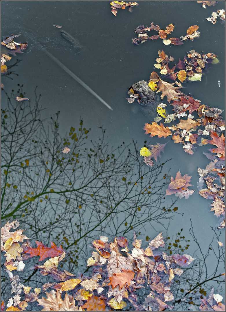 When The Leaves Come Falling Down Foto & Bild | jahreszeiten, herbst ...