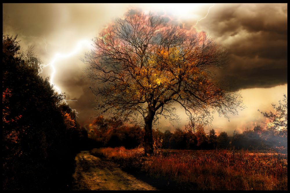 "While the Beds are Burning" Foto & Bild | fotomontage, landschaften, bearbeitungs - techniken ...